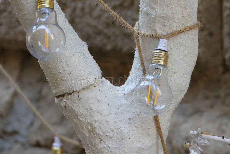 Light Bulbs Hanging on the Branches of a Tree Stock Image - Image of ...