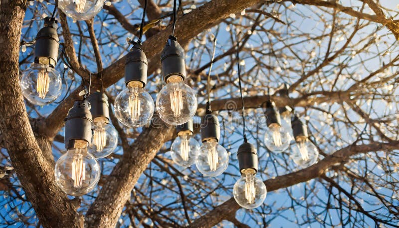 Light Bulbs Hanging on a Tree Stock Photo - Image of tree, holiday ...