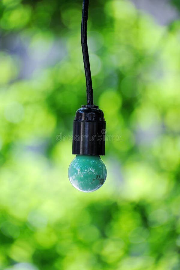 1,291 Light Bulbs Hanging Tree Stock Photos - Free & Royalty-Free Stock ...
