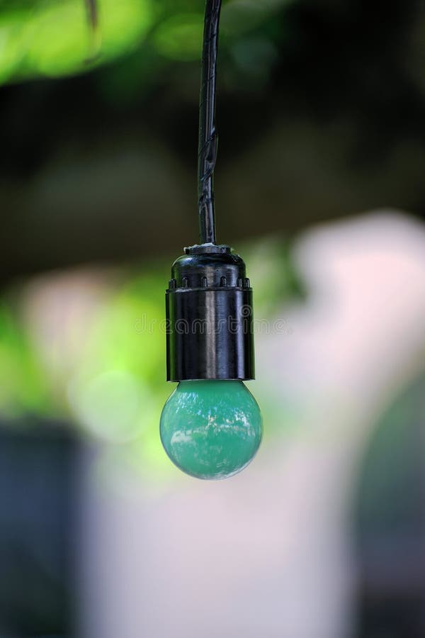 Light Bulbs Hanging from a Tree Stock Photo - Image of light, glowing ...