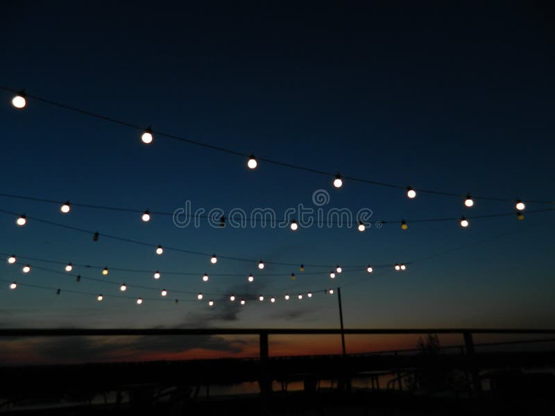 Moonlight Bulbs Stock Photos - Free & Royalty-Free Stock Photos from ...