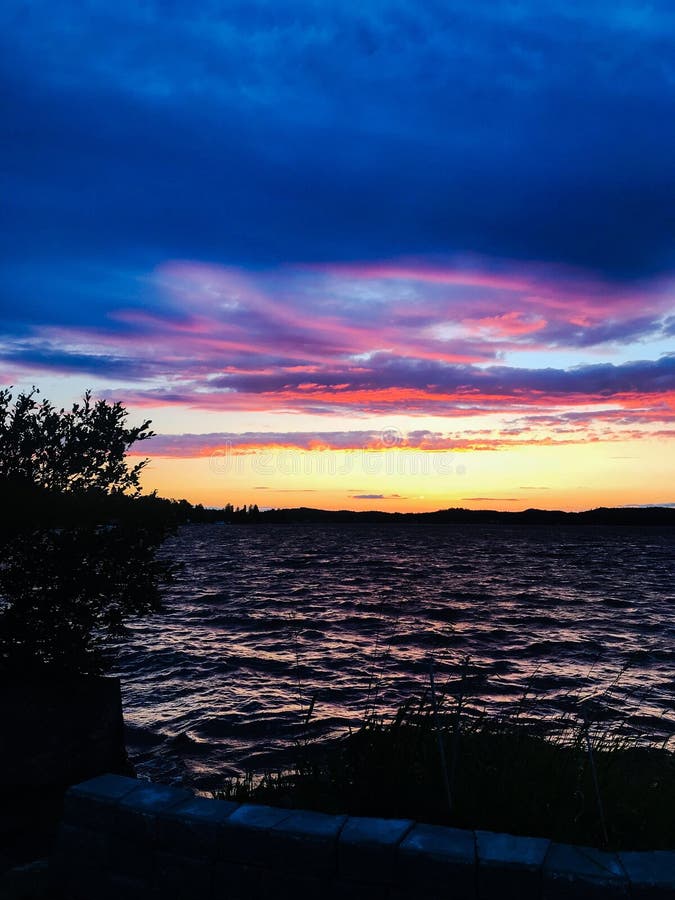 Light Bulbs in the Middle of Trees Stock Image - Image of trees ...