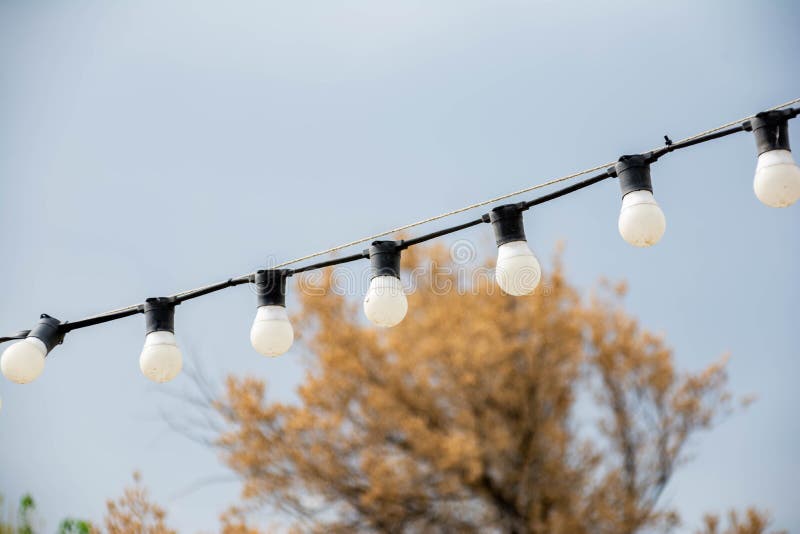 Light Bulbs on Wire. White Light Bulbs and Electric Cable Stock Photo ...