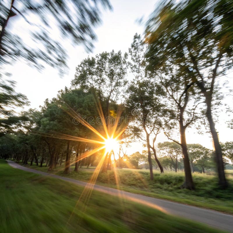 Light Burst through Trees with Movement Stock Illustration ...