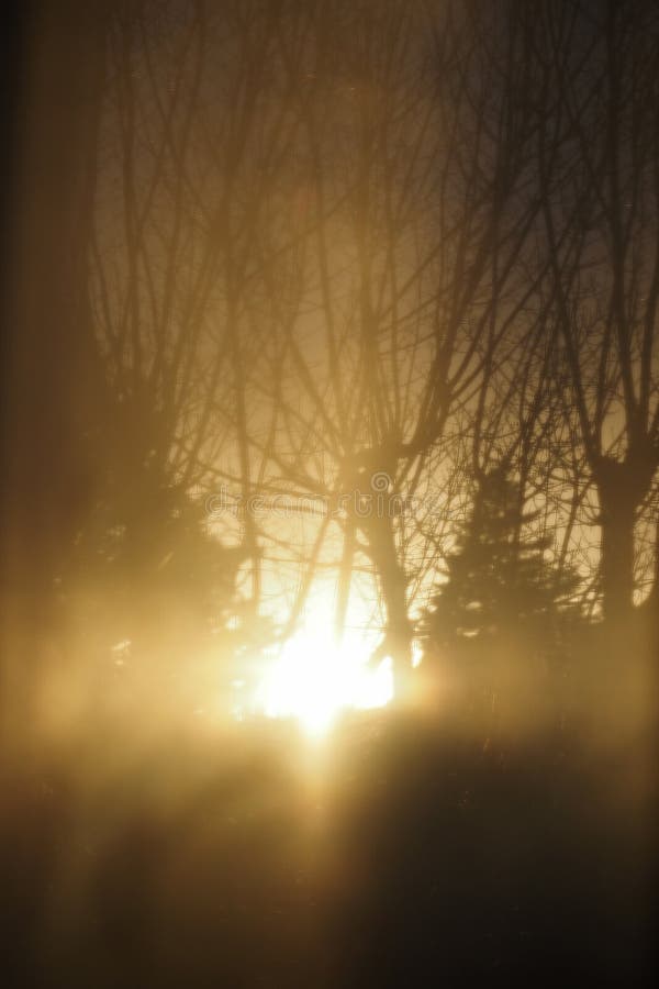 When the Light Calls You - Home Stock Image - Image of beautiful, halo ...