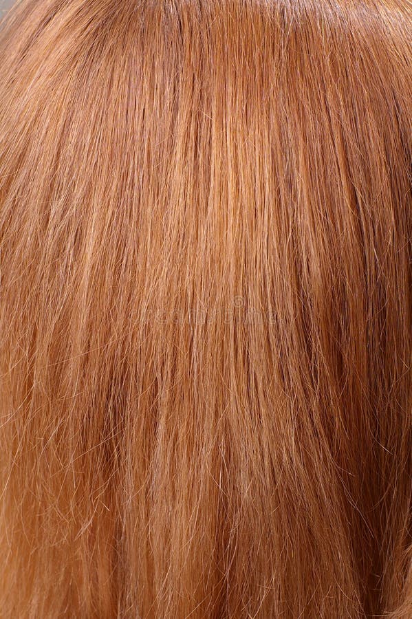Light chestnut hair stock photo. Image of effect, beauty - 23321760