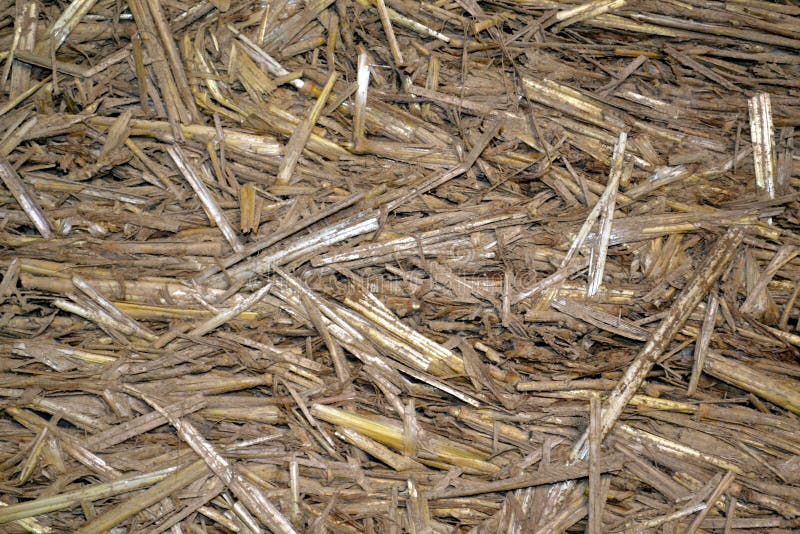 Light clay straw texture stock photo. Image of environment - 251707792