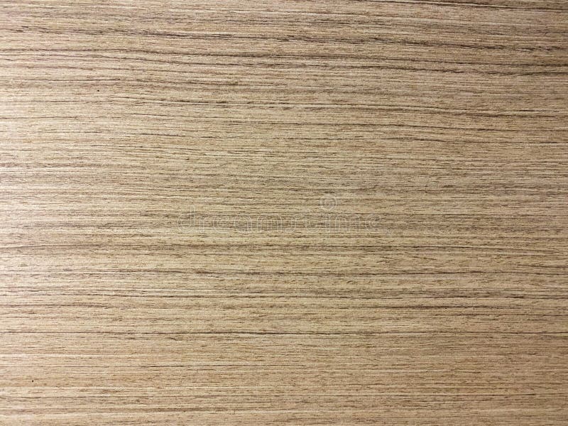 Light-colored Laminate Floor with a Smooth Finish, Perfect for ...