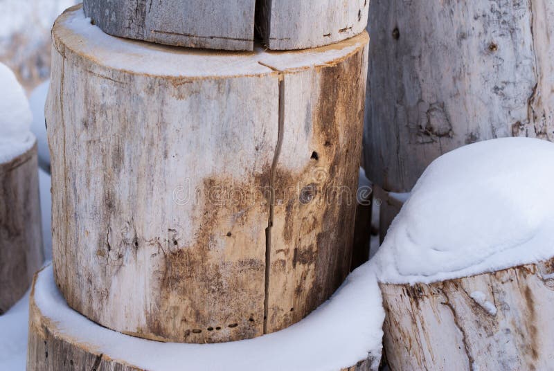 Light Colored Logs Stacked in Snow in Winter Stock Image - Image of ...