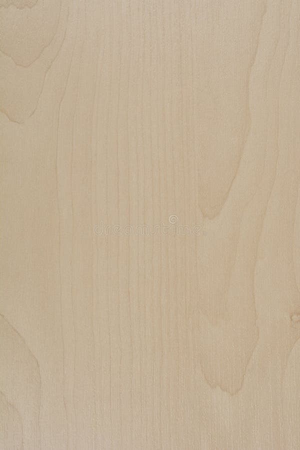 Light-colored wood plank stock image. Image of natural - 369687877
