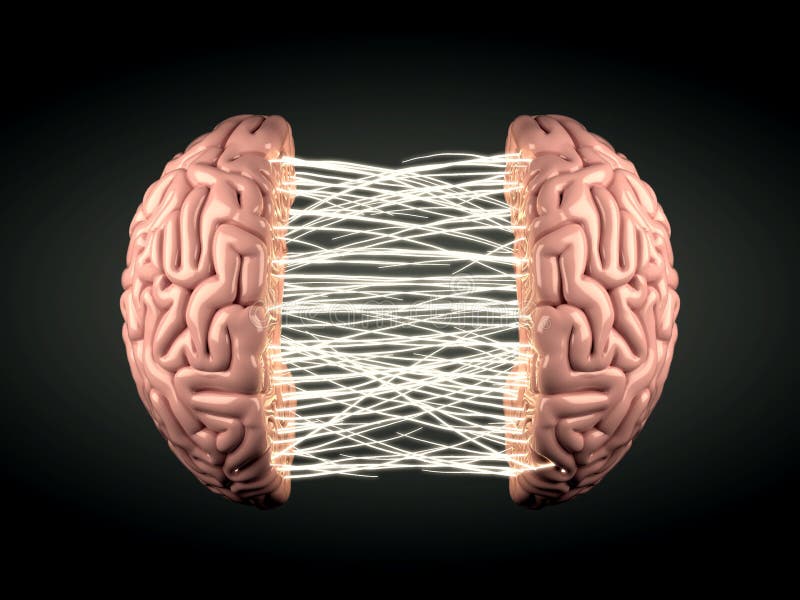 Split Brain Stock Illustrations – 890 Split Brain Stock Illustrations ...