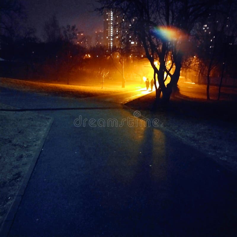 Light stock image. Image of park, dark, march, people - 271895717