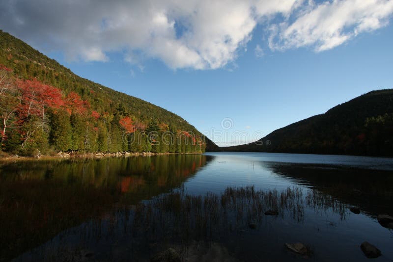 Light and Dark stock photo. Image of nature, dark, acadia - 4337454