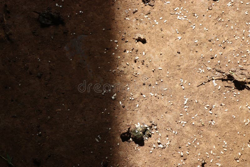 Light and Dark on a Single Picture Shown by Sunlight Falling on the ...