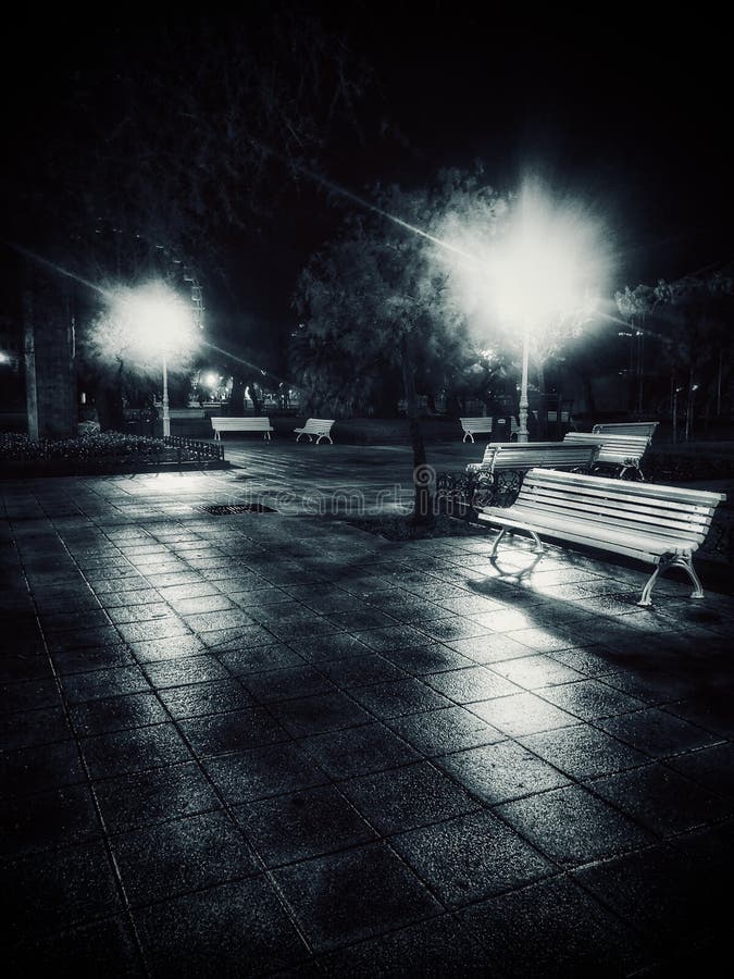 Light stock photo. Image of benches, darkness, streetlights - 262855950