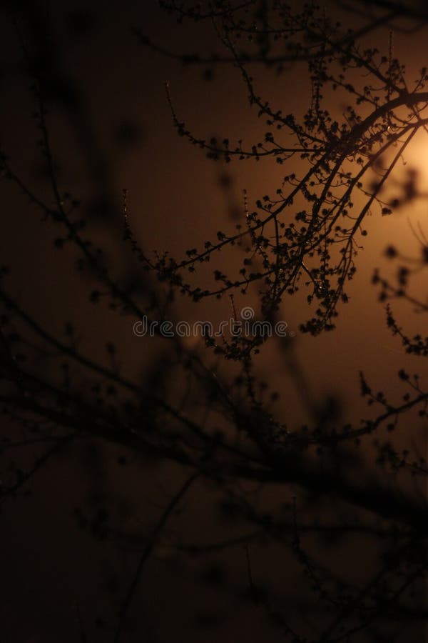 Light in the darkness stock photo. Image of light, casts - 61932034