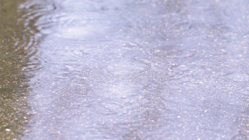 Light Drizzle Drips into a Puddle Stock Video - Video of fine ...