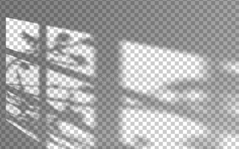 Light Effect Shadow Overlay from Window and Plant Isolated Transparent ...