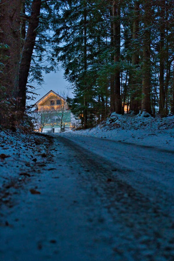 Light at the End of the Forest Stock Image - Image of morning, night ...