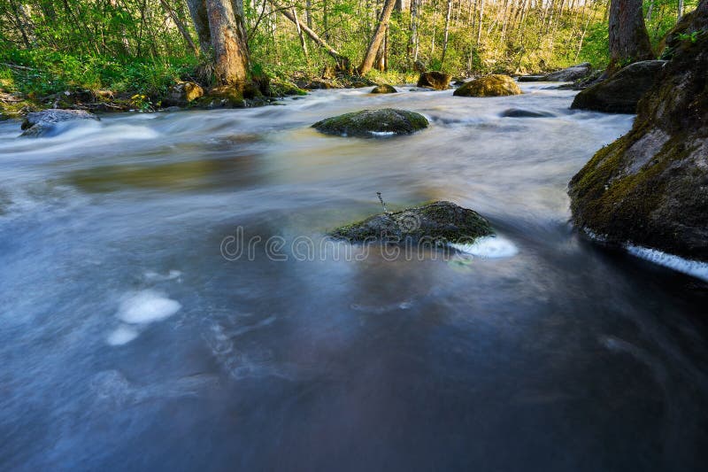 Light Exposure Lake Surrounded by Greenery Stock Photo - Image of green ...