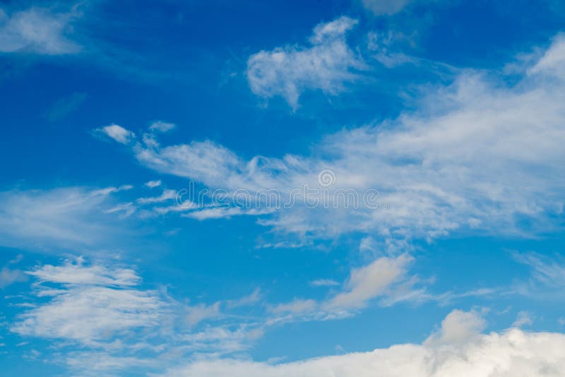 Light Feathered Slink in the Blue Sky Stock Photo - Image of cumulus ...