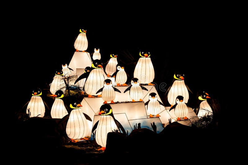 Light festival of penguins stock photo. Image of evening - 57131034