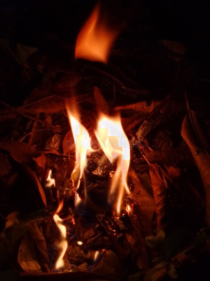 Light of Fire Burning by Dry Leaf Stock Photo - Image of leaf, burning ...