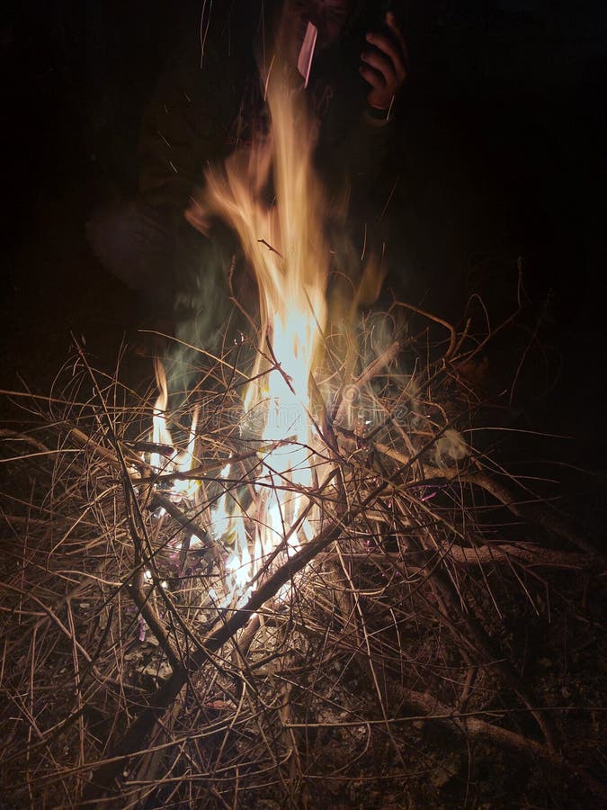 Light a fire in the garden stock image. Image of flame - 239010583