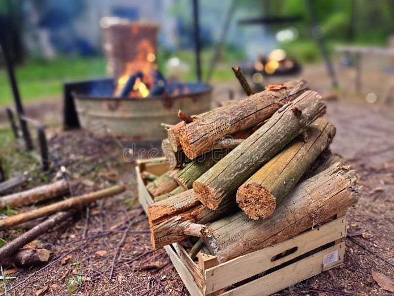 Light a Fire, Sit by the Fire, Look at the Blazing Fire, Make a Grill ...