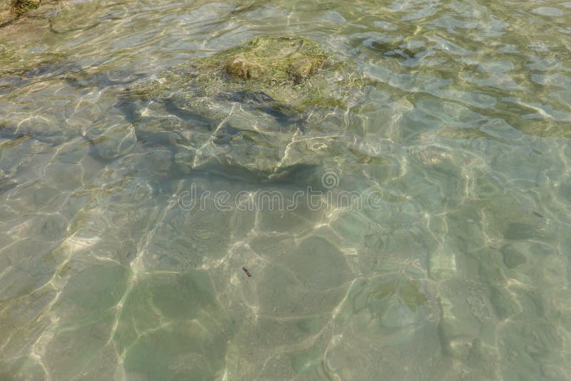 Light Flare in Water of a Stream Stock Photo - Image of stream, light ...