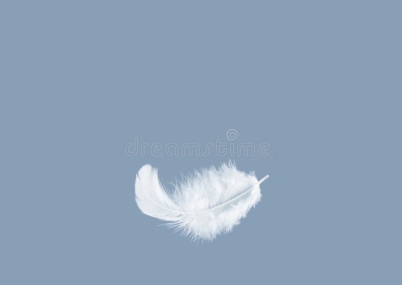 Light Fluffy a White Feather Floating in the Air with Copy Space ...