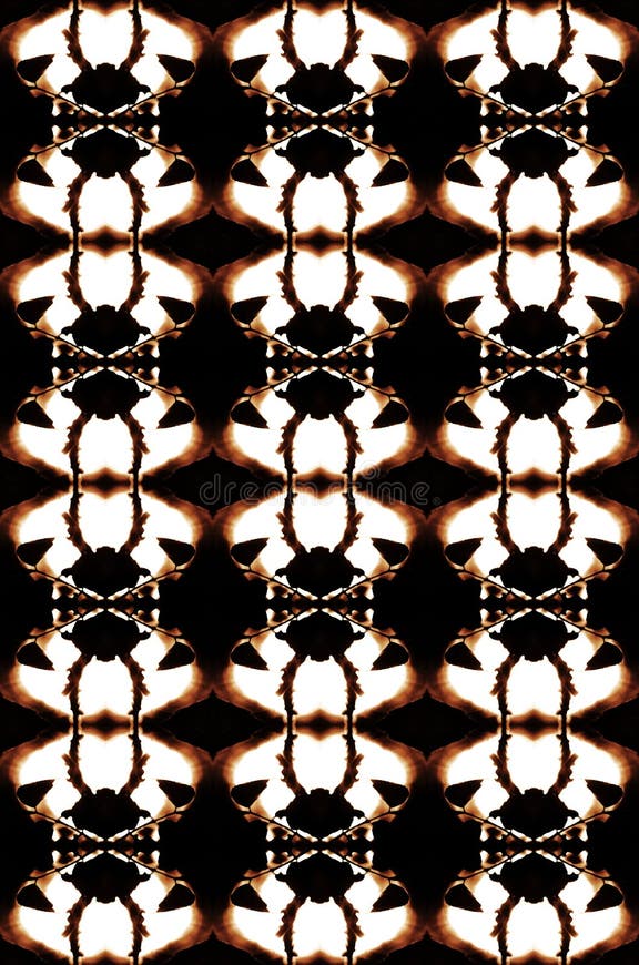 LIGHT FOCUS and FOLIAGE PATTERN Stock Image - Image of duplication ...