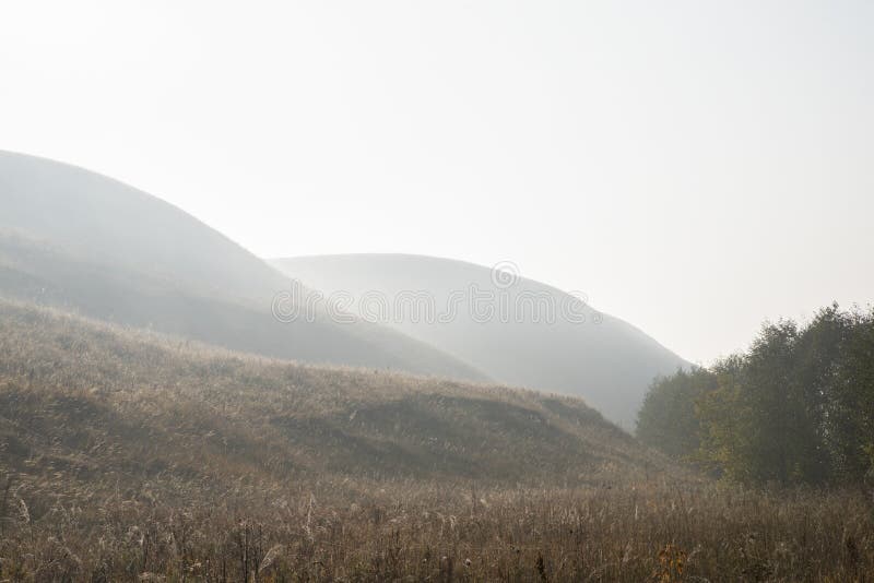 Light Fog Over the Hills Where the Grass Grows Stock Image - Image of ...