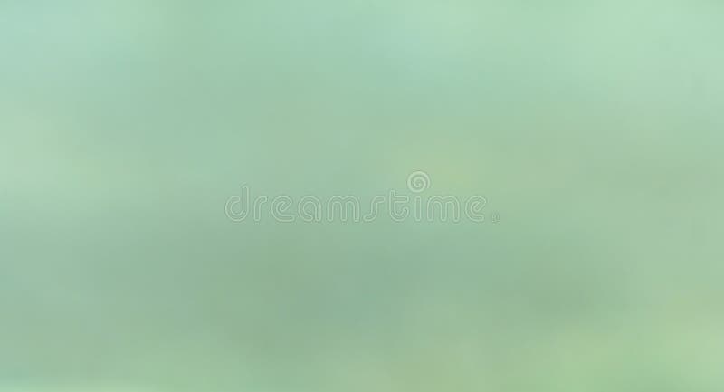 Light Forest Green Color Abstracts and Backgrounds. Full Frame Stock ...