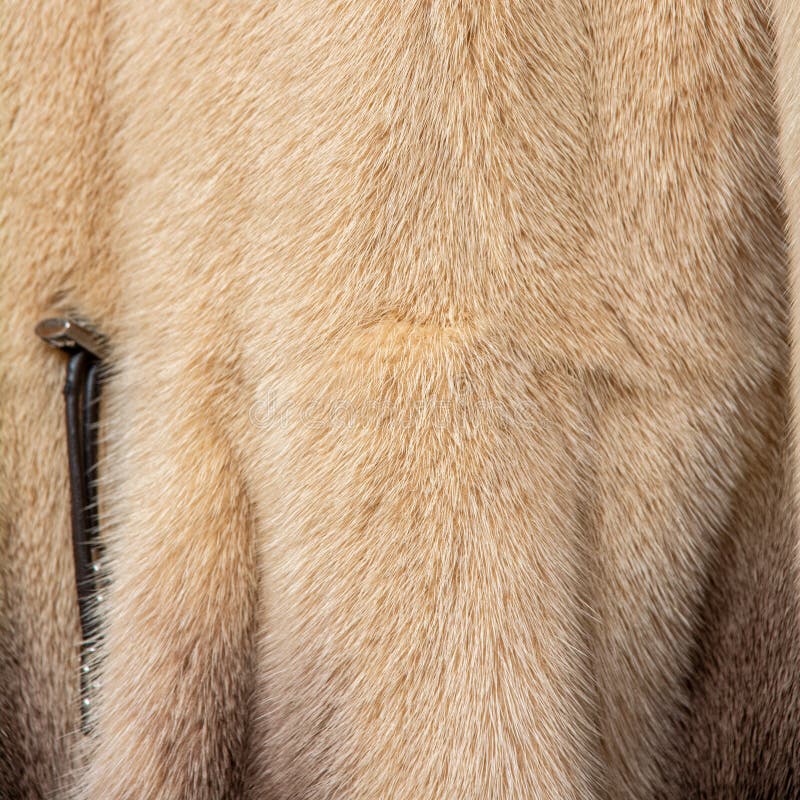 Light Fur on a Fur Coat with a Shallow Depth of Field and Blur. Shiny ...