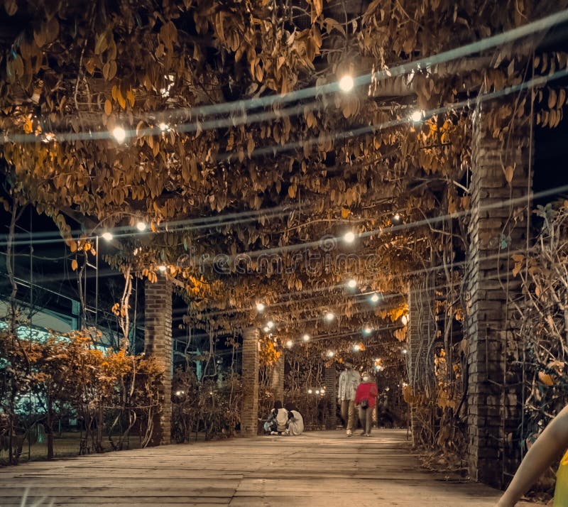 Light Garden with Golden Shades Stock Image - Image of crowd, building ...