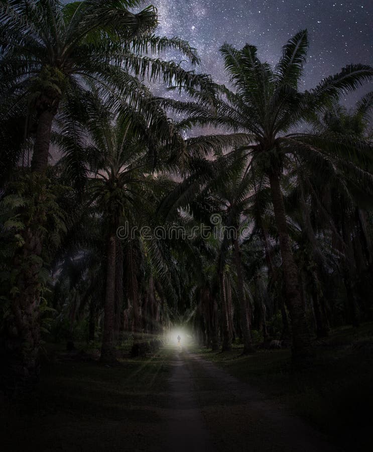Light Glowing from the Distance at Night Stock Photo - Image of ...