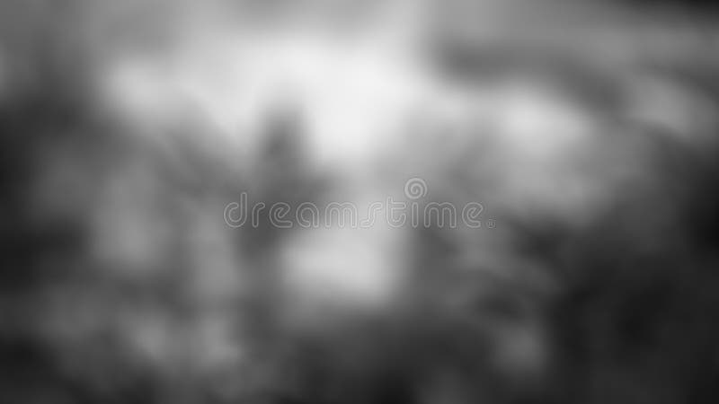 Light gray blur background stock photo. Image of design - 69498102