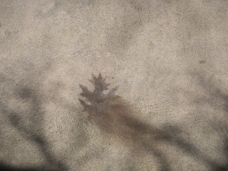 Light Gray Conglomerate with Rust-colored Leaf Stain. Stock Photo ...