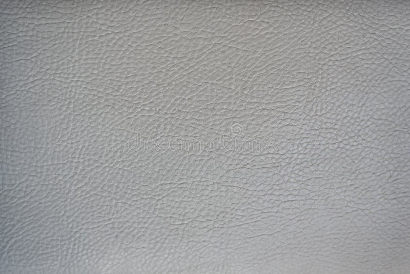 Light Gray Leather Smooth Surface. Backgrounds and Textures Stock Image ...