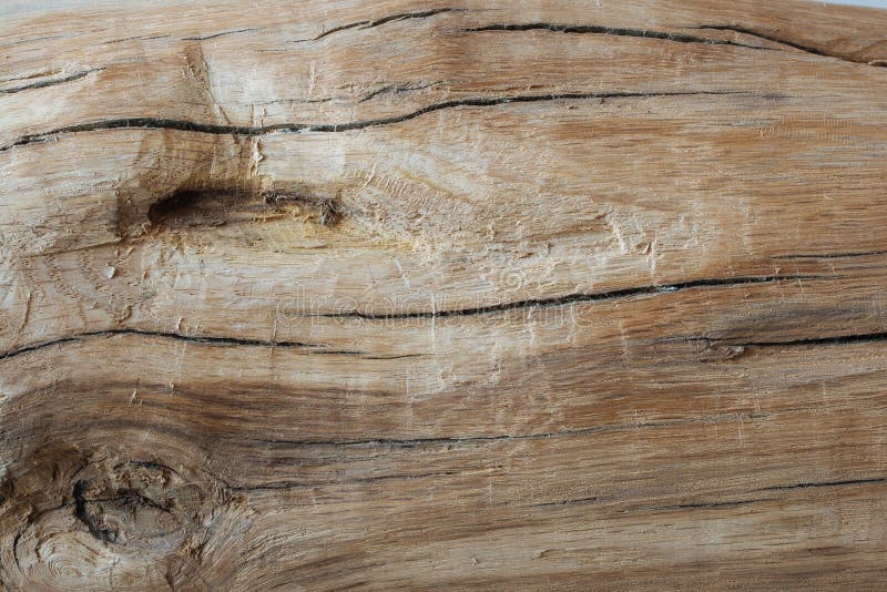 Light Gray Oak Wood Texture Stock Image - Image of macro, material ...