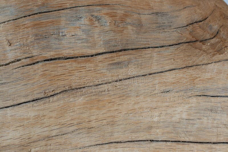 Light Gray Oak Wood Texture Stock Image - Image of round, material ...