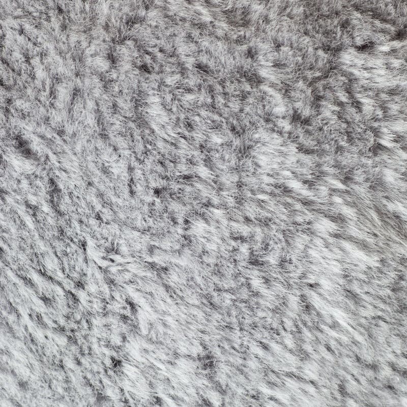 Light Gray Polar Fox Fur Background (texture) Stock Photo - Image of ...