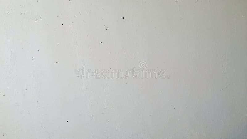 Light Gray Smooth Plaster Wall Texture, Subtle Shades, Fine Particles ...
