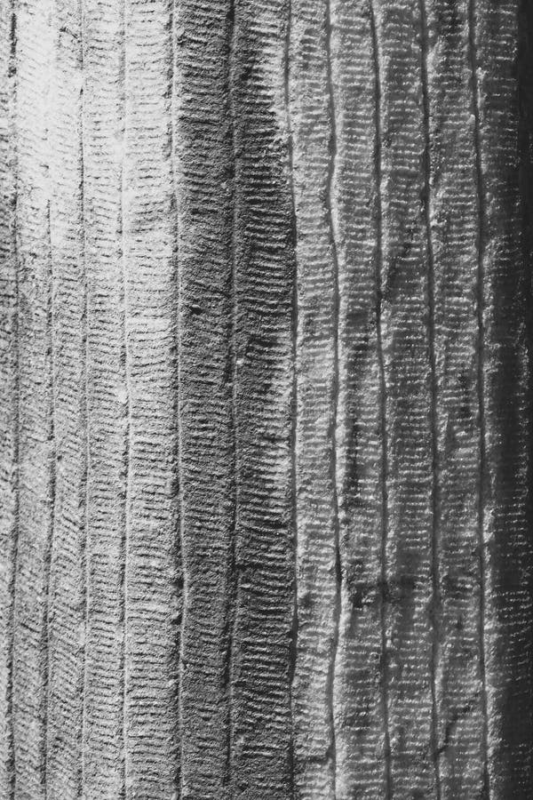Carved Tree Bark Texture on Light Gray Stone II Stock Image - Image of ...