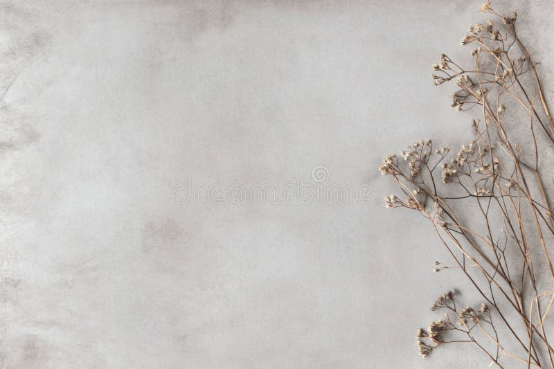 Light Gray Textured Paper Background with Subtle Pattern. Vintage Feel ...