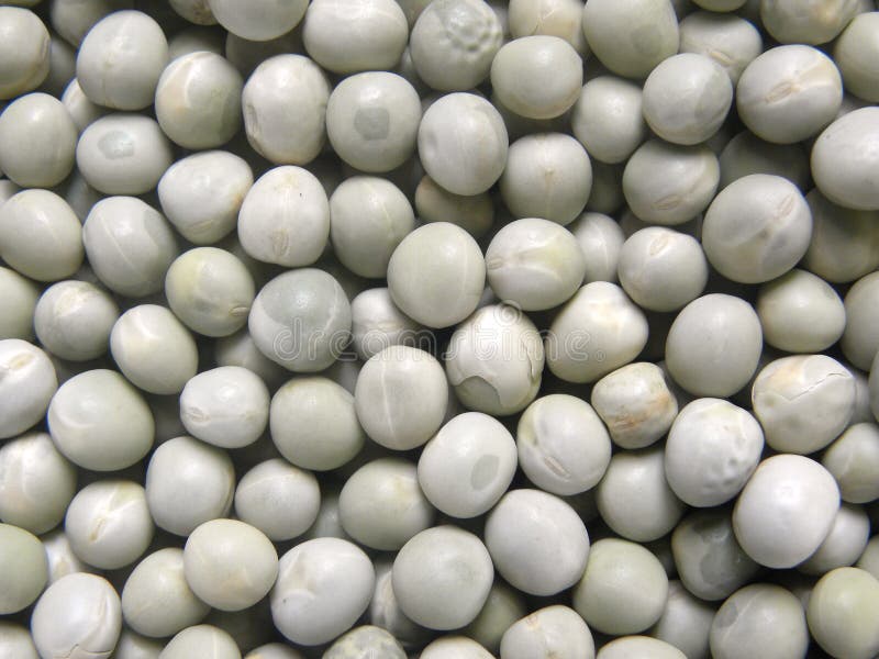 Light green color peas stock image. Image of closeup - 182509723