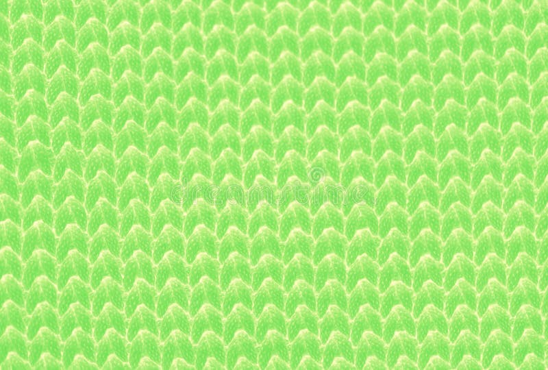 Light Soft Green Background with Blurred Lines Stock Image - Image of ...