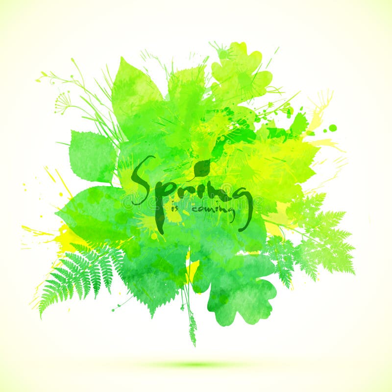 Light Green Spring Leaves Vector Banner Stock Vector - Illustration of ...