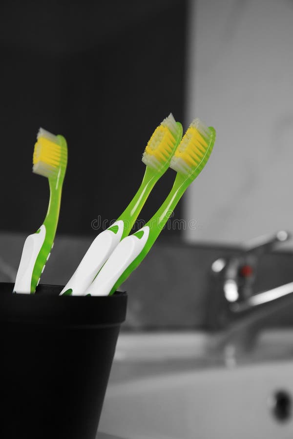 Light Green Toothbrushes in Black Toothbrush Holder Indoors Stock Image ...
